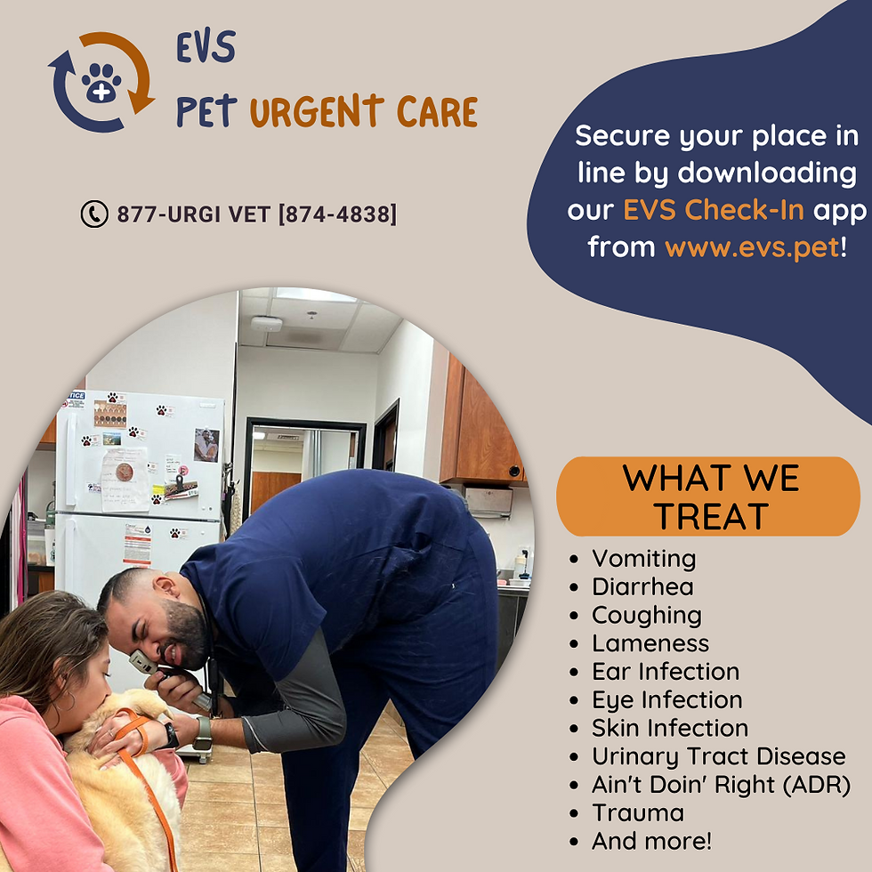 Revolutionizing Veterinary Care: EVS Pet Urgent Care Leading the Change