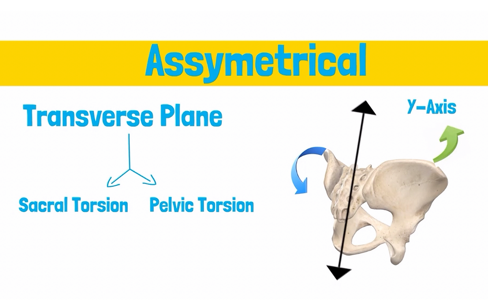Why track the “Sacroiliac Joint”