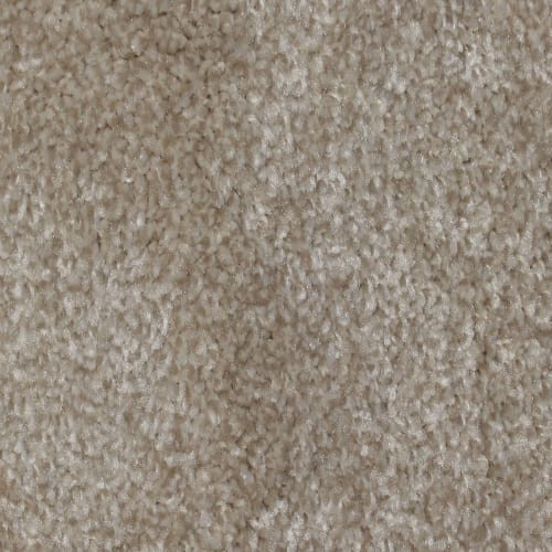 Genstock | Pledge | Allure | Better Call Paul Flooring