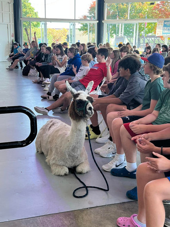 MOBILE ZOO | Cook Country Connect