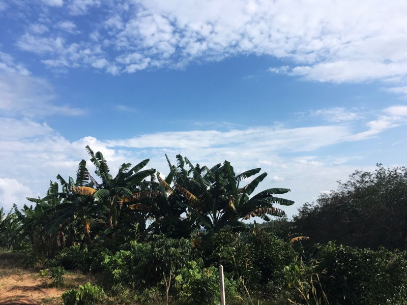 Home | Estefany Fernandez