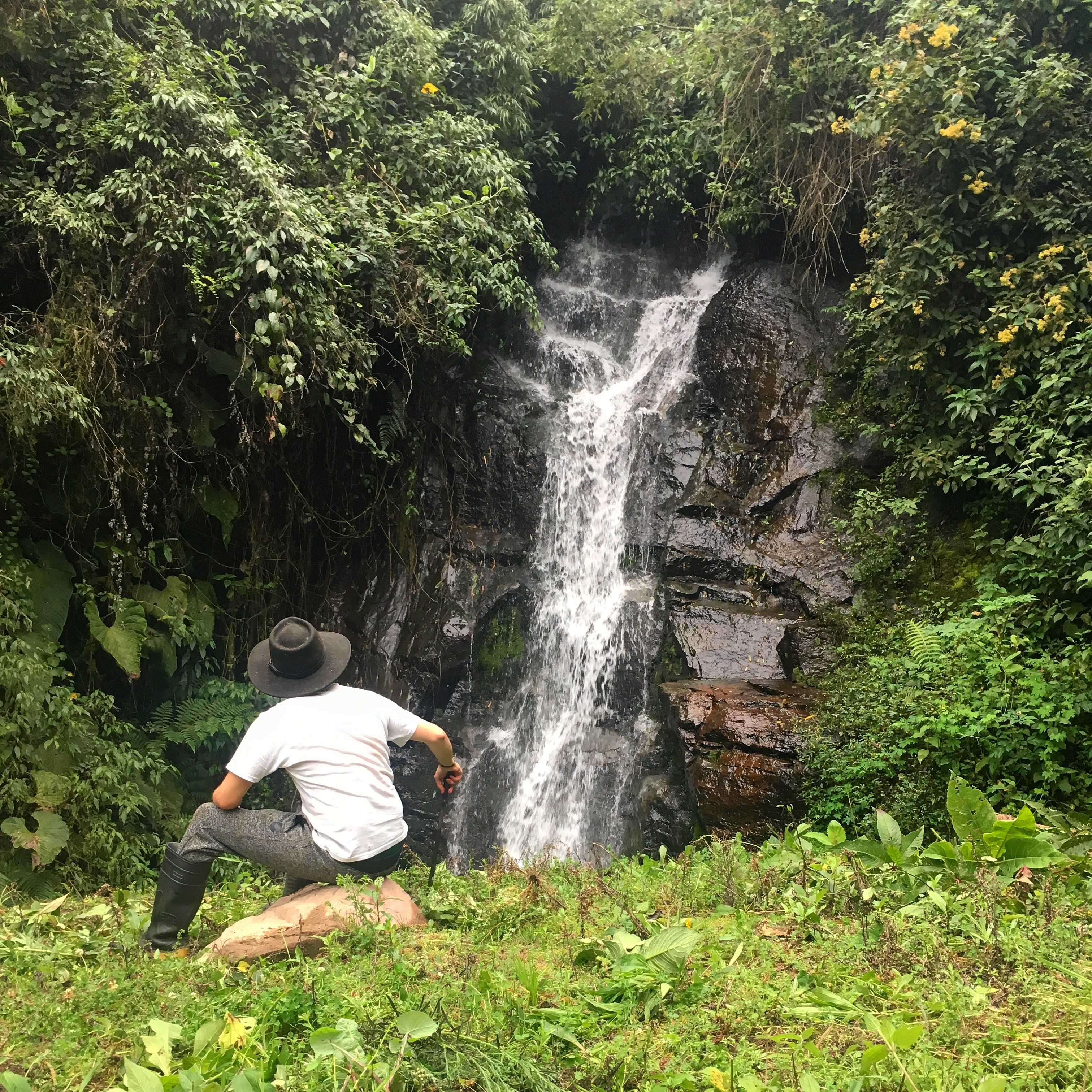 Que hacer en Nono | Pichincha | Estancia De La Campiña