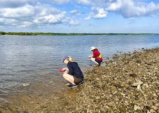 Shark Tooth Hunting Tour | Wilmington Outdoor Adventures, LLC