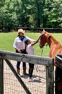 About | All American Farm