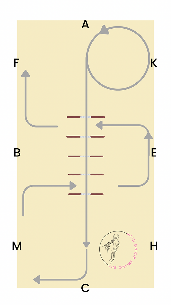 Trot Poles on the centre line Exercise 3