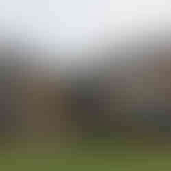 ThermoWood Iroko Cladding