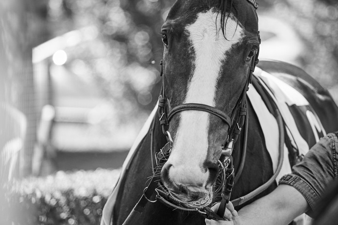 Benjamin Dupuy | photographe mariage poitiers