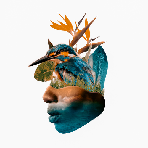 "Habitat" | Jeff Manning Art