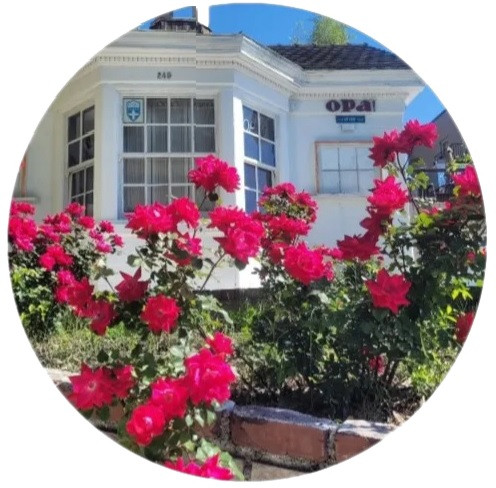 OPA Menu | Authentic Greek Dishes in Chattanooga