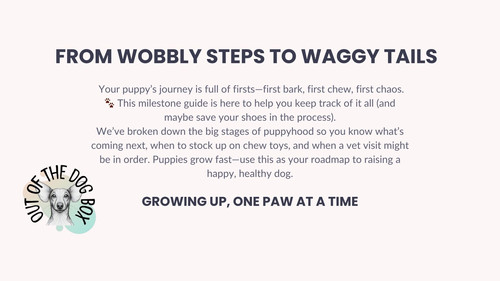 Puppy Development Milestone Chart | Out of the dog box