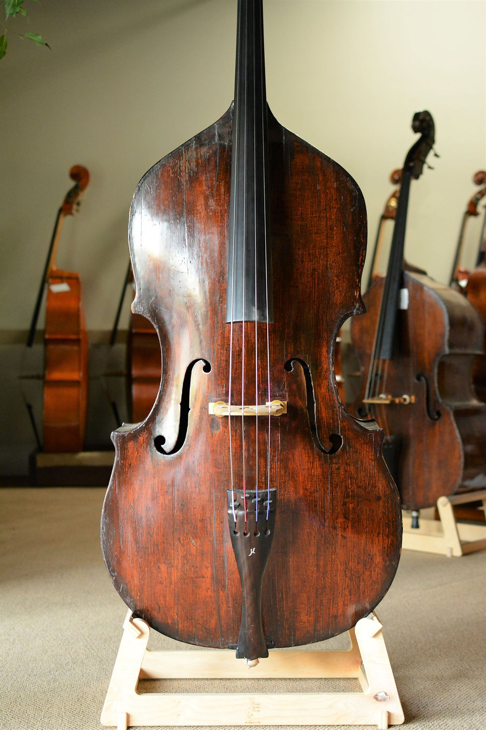 Double Basses | Bass Violin Shop 3/4