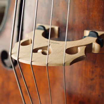 Double Bass Setups | Bass Violin Shop