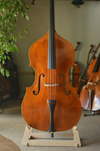 Samuel Shen SB100 Double Bass | Bassviolinshop