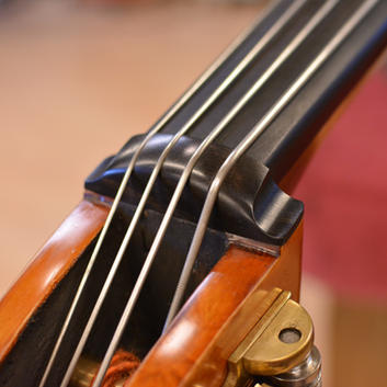 Double Bass Setups | Bass Violin Shop