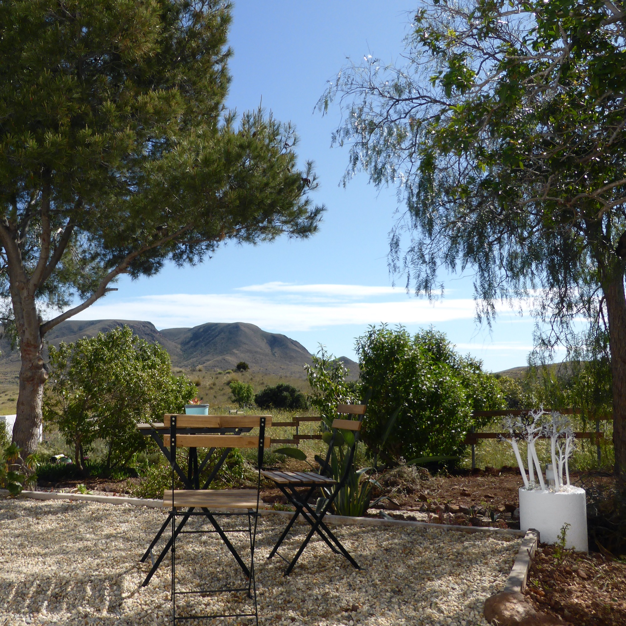 Gallery | Little Agave | Cabo de Gata Spain