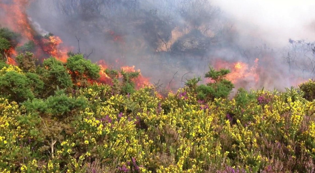 How Happy Is the Prime Minister With Natural England? Our Letter to ...