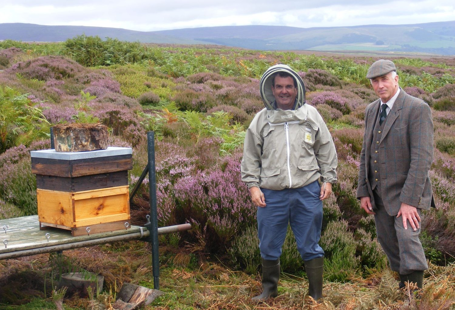 How Controlled Burning Creates a "Pharmacy" for Wild Bees