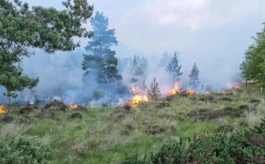 Scotland’s Largest Wildfire: New Report Highlights Land Managers ...