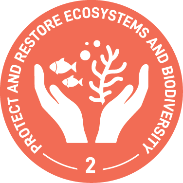 Reefs of Hope | Corals4Conservation