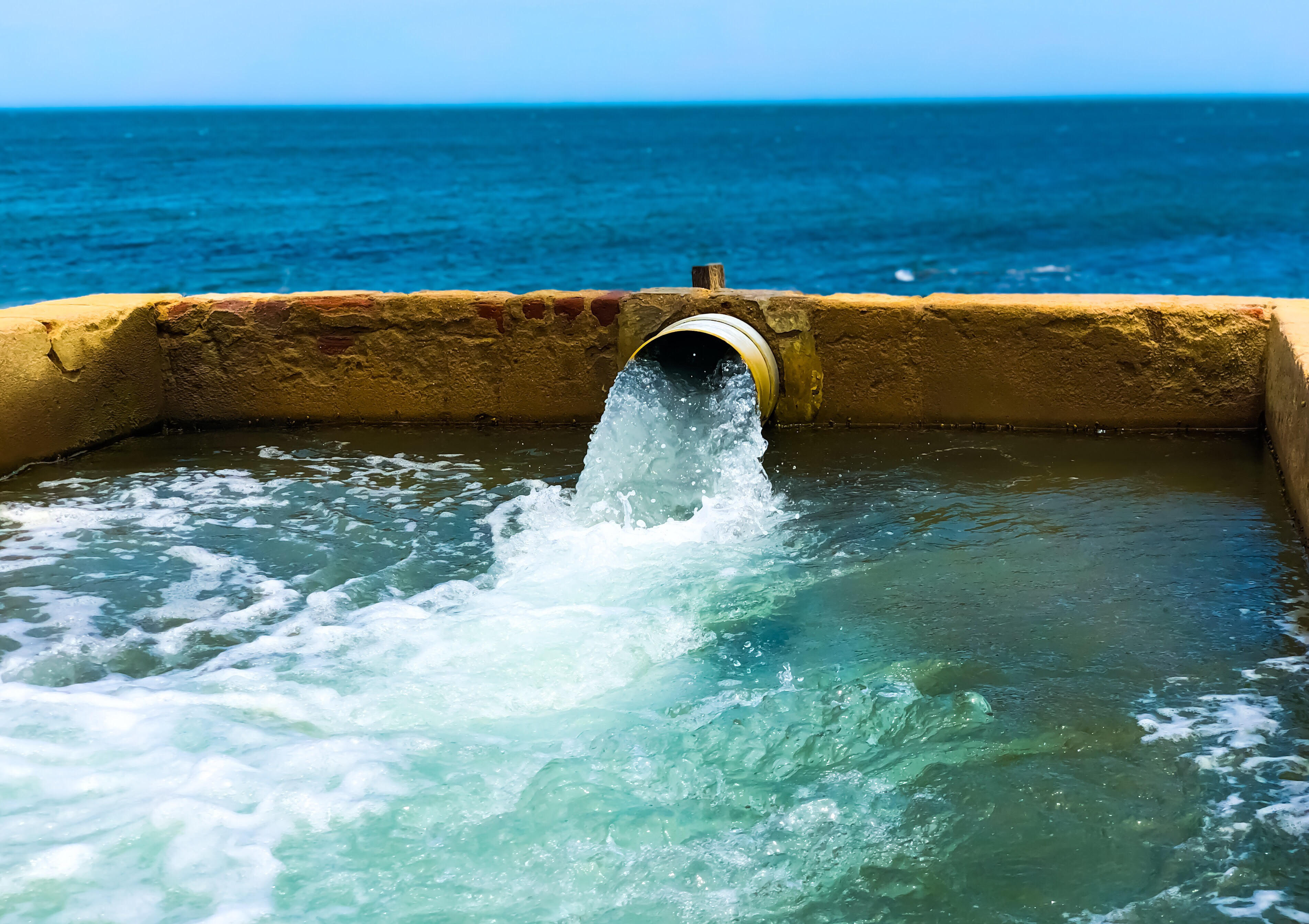 Home | Sprinkle Salt