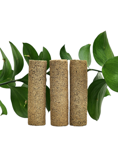 Eucalyptus Sage Stick | NCC