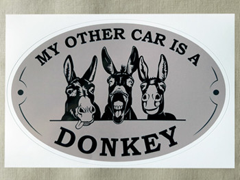 Oval Bumper Sticker | DSQ