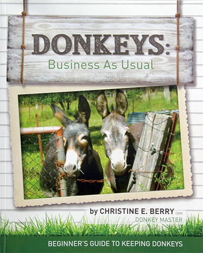 Donkeys: Business As Usual | DSQ