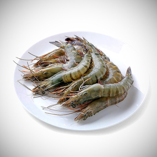Udang Pancet Besar (18-20 Pcs/Kg) | Seabika