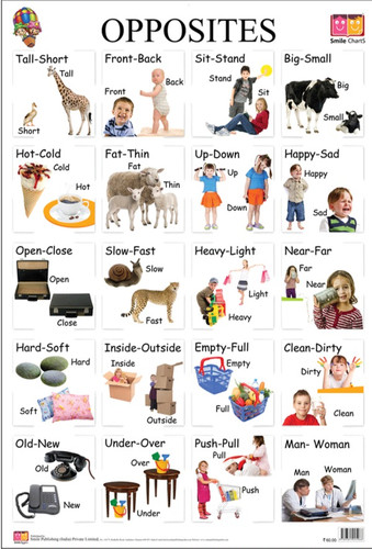Educational Wall Charts - Opposites | www.smileeducationonline.com