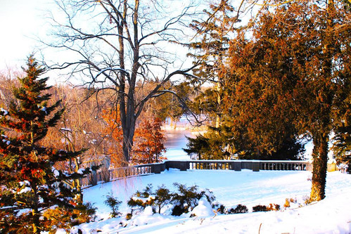 Winter Landscape | Newcastle