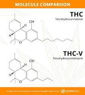 Exploring THCV: The Unique Cannabinoid with Exciting Potential