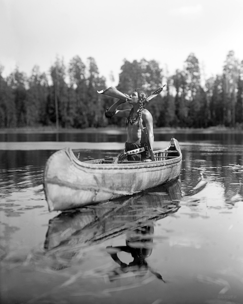 Images of the Woodlands | Roland Reed Gallery