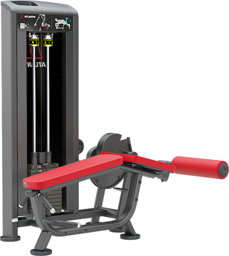 Lying leg curl | StrengthVault | Atlantis Distributor | Australia