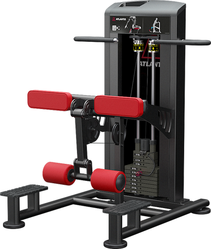 Leg Curl Machines | Strength Vault | Atlantis Distributor | Australia