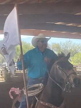 Standings | My Site 1