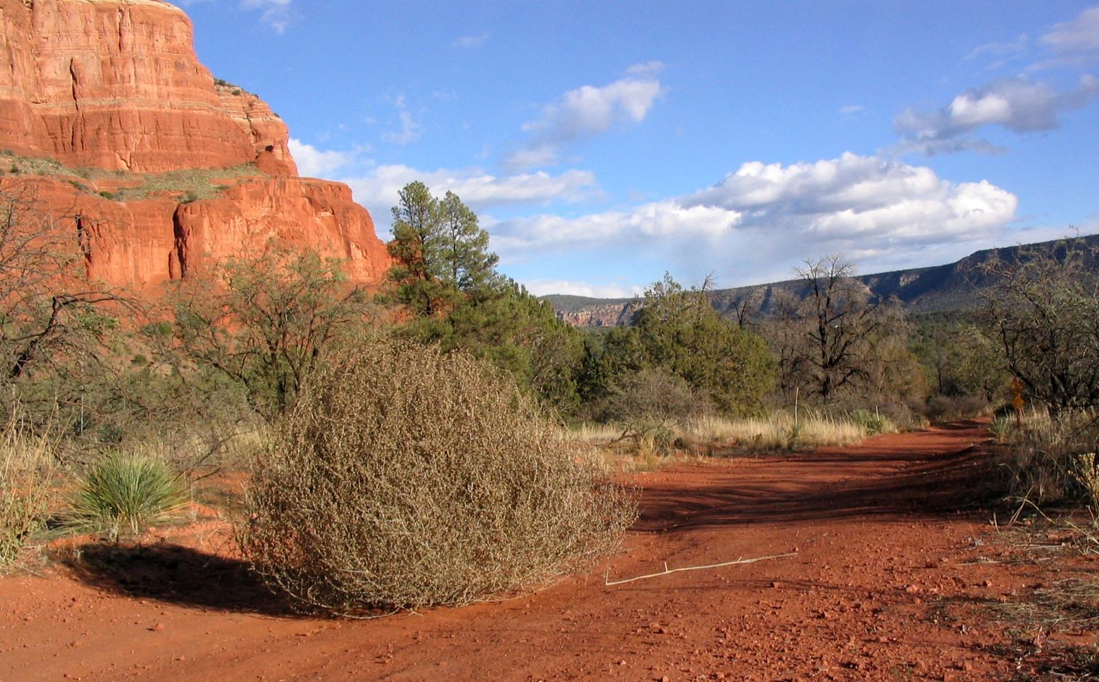 Tumbleweed Pictures, LLC | Award winning production team