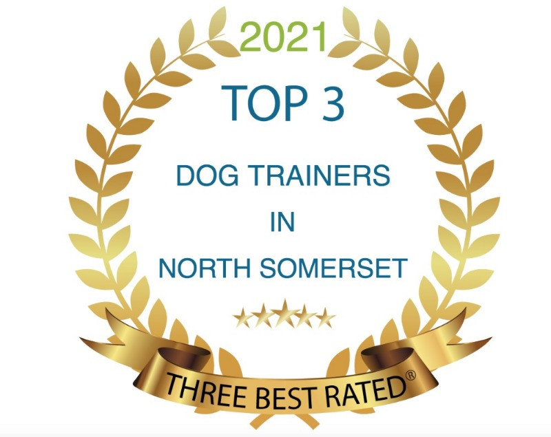 121 Training & Behaviour | Eye2eye Dogs | Kingston Seymour