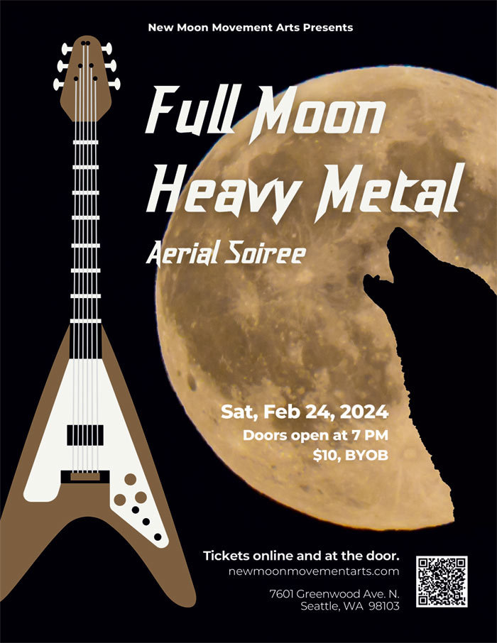 Heavy Metal Soiree | Amy Lynn | Aerialist
