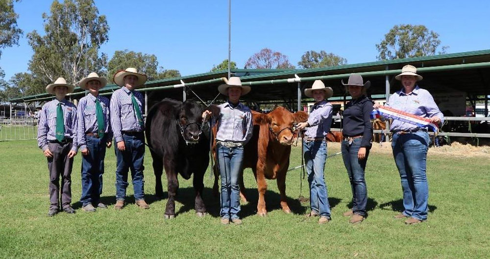 Smithfield Feedlot connects students and teachers to feedlot industry