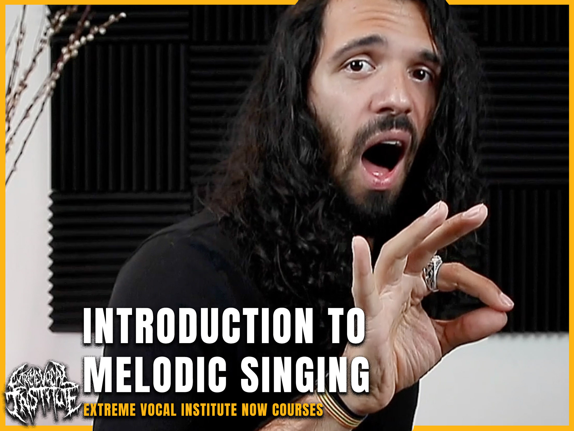 11. Introduction to Melodic Singing | Extreme Vocal Institute
