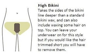 what does bikini area include