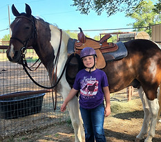 Books, Lessons, Entertainment / Elvis the Pony