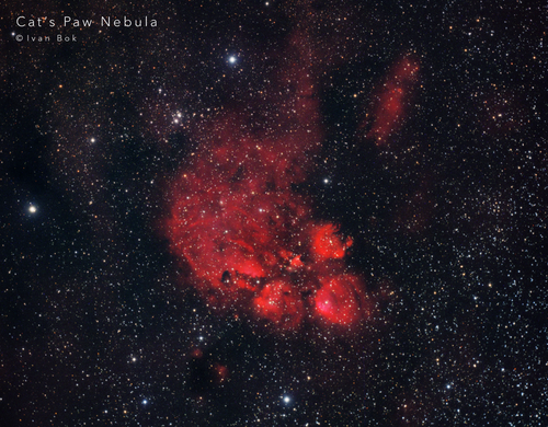 Cats Paw Nebula Print | NUS Astronomical Soc