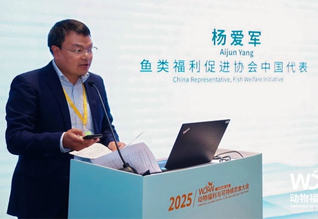 Fish Welfare at WCFAW 2025: Strengthening Collaboration in China