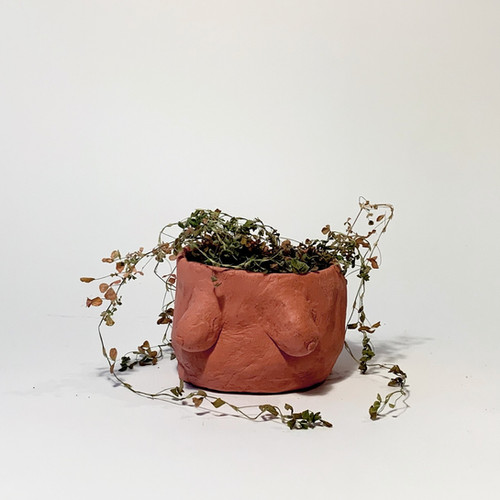 Arty Handmade Boob Pot- 2 boobs | HelloArt