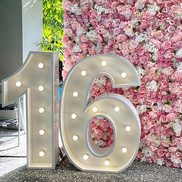 Light Up Number Hire | Birthdays | 18, 21, 30