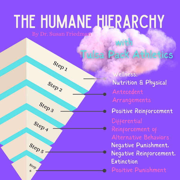 Online Programs | Tulsa Pack Athletics