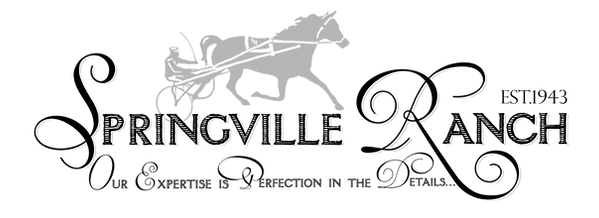 HOME | Springville