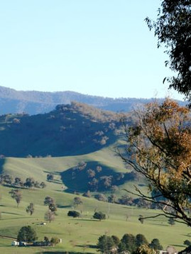 Home | Howqua Valley Views
