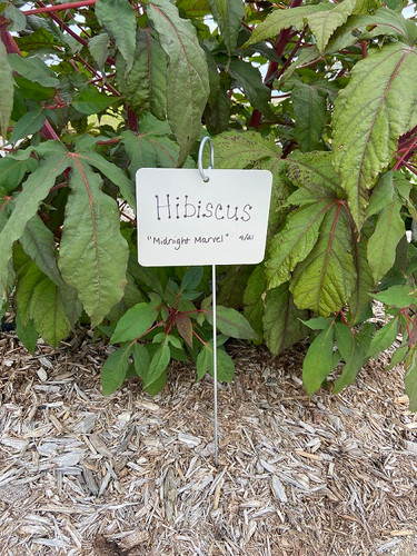 Thick P Wire with Large Heavy Duty Aluminum Plate (20" tall) | Everlast ...